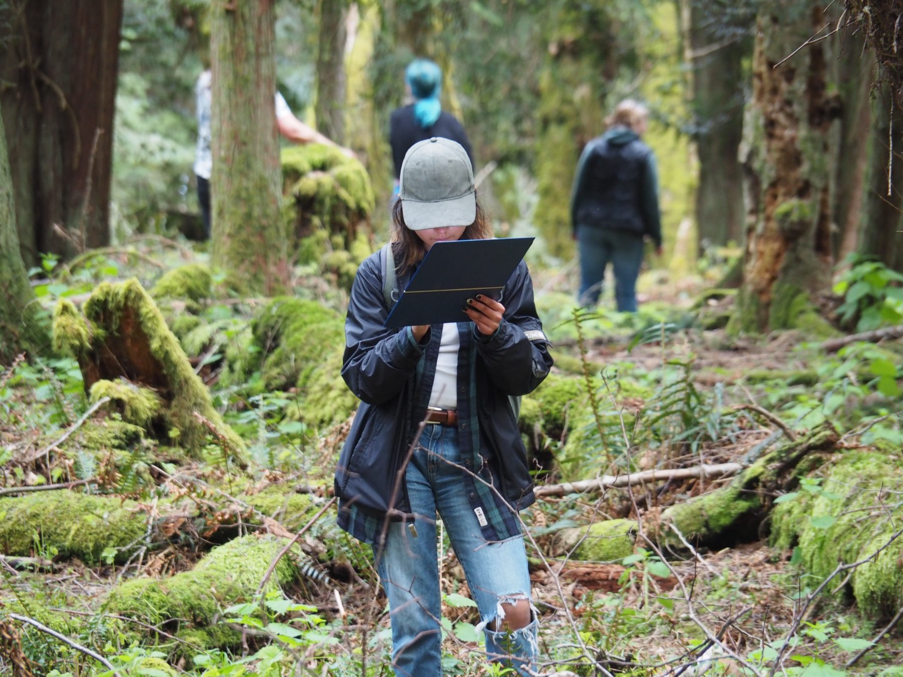 Coastal Forests of Pebble Beach | Galiano Conservancy