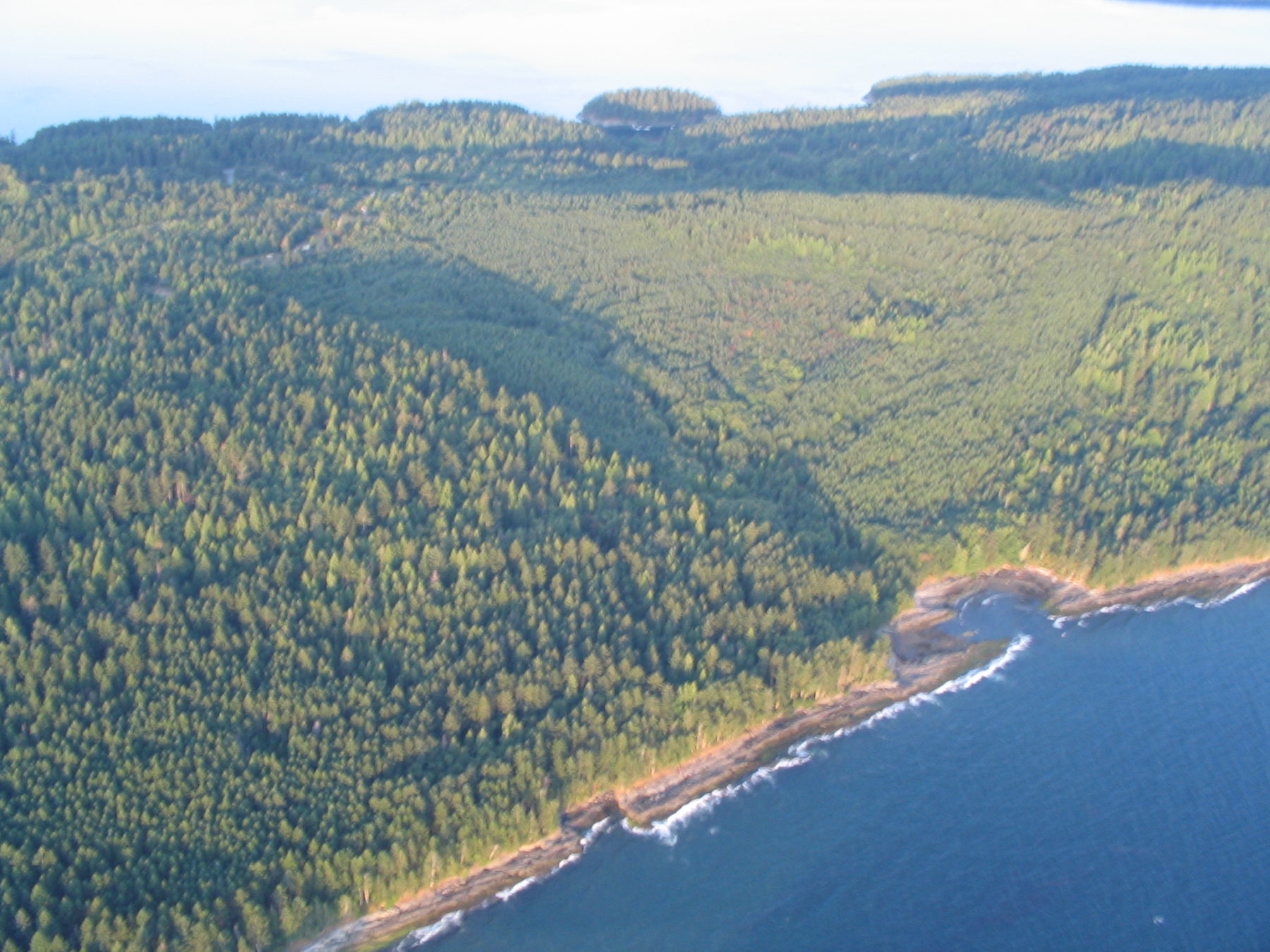 Restoring the Plantation Forests at the Pebble Beach Reserve | Galiano ...