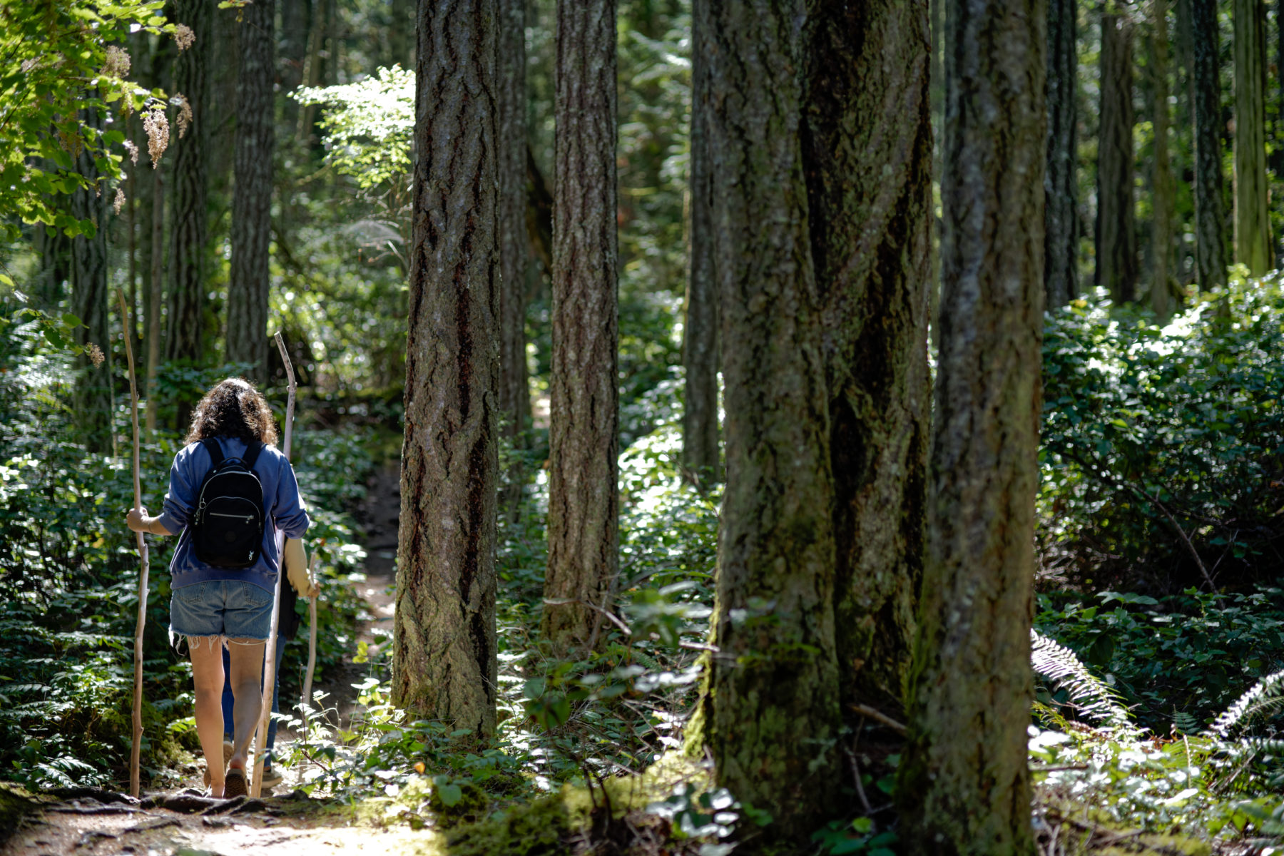 Land Stewardship | Galiano Conservancy Land Stewardship BC